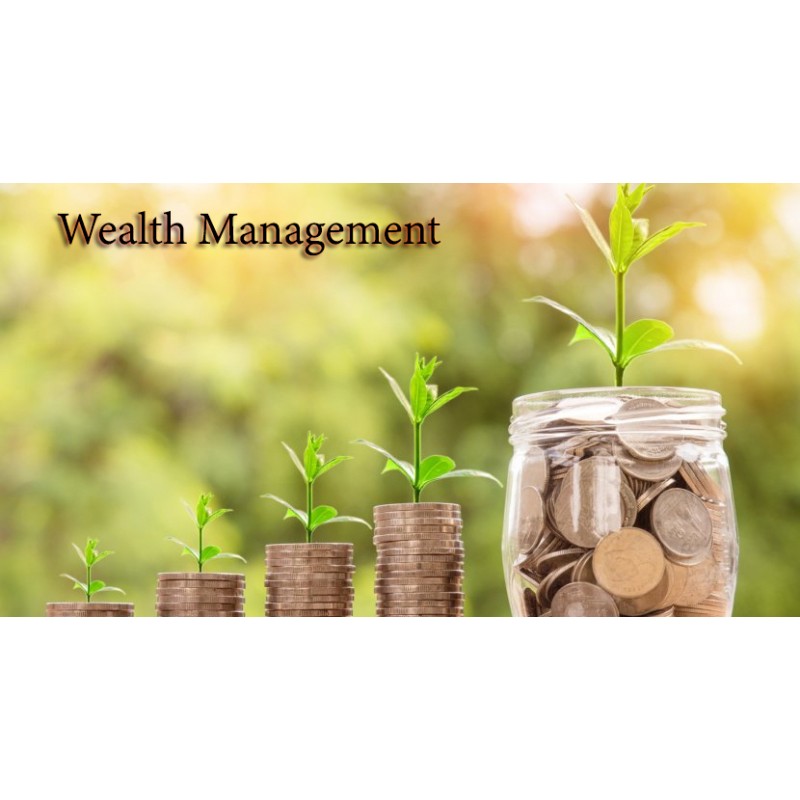Wealth Management - Tatva Group Ahmedabad