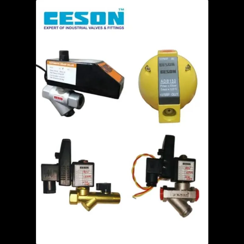 Electrical Auto Drain Valve Manufacturer & Supplier